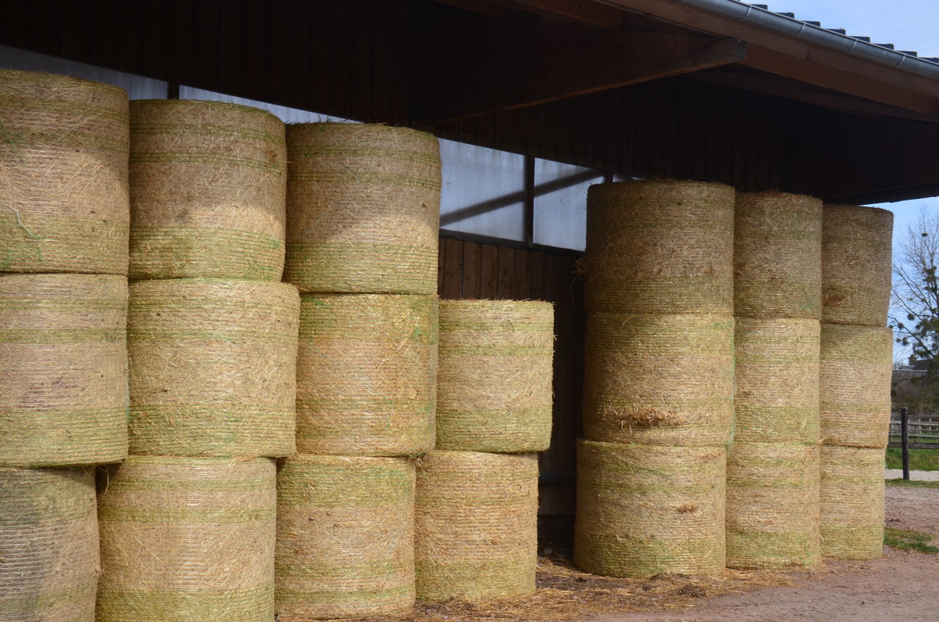 Quel type de fourrage utilisez-vous ? - L'Eperon